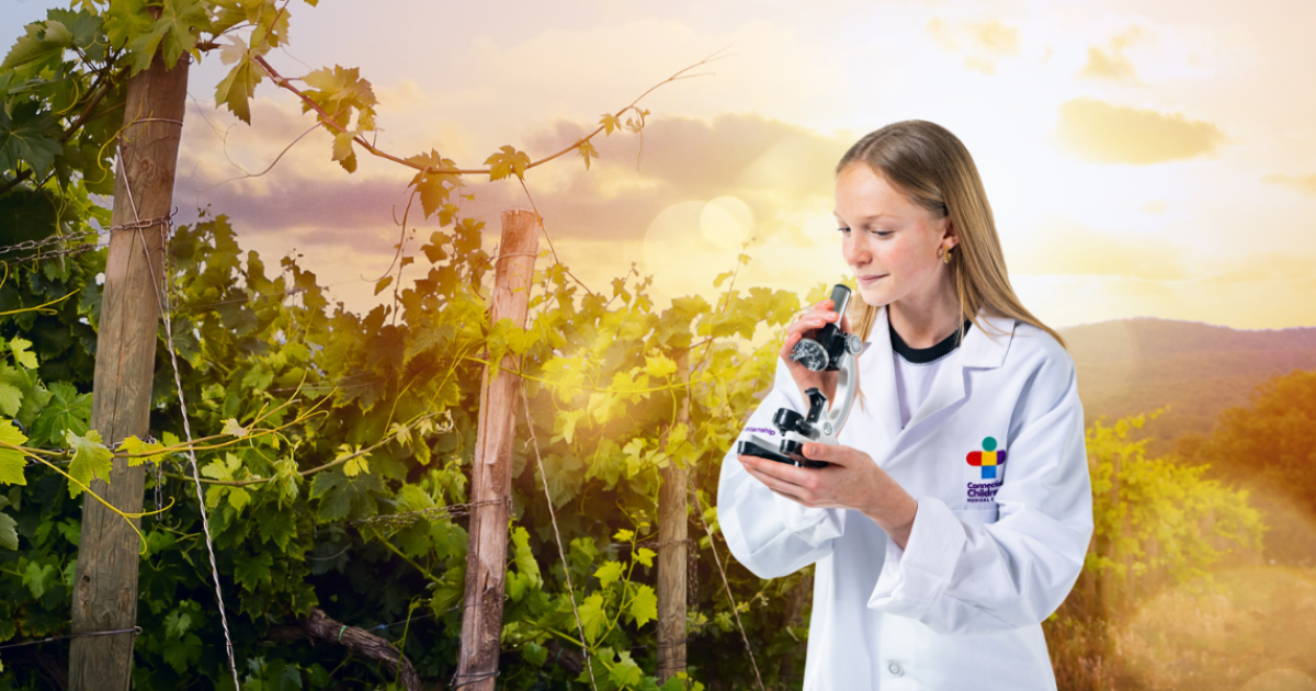 Connection in Action